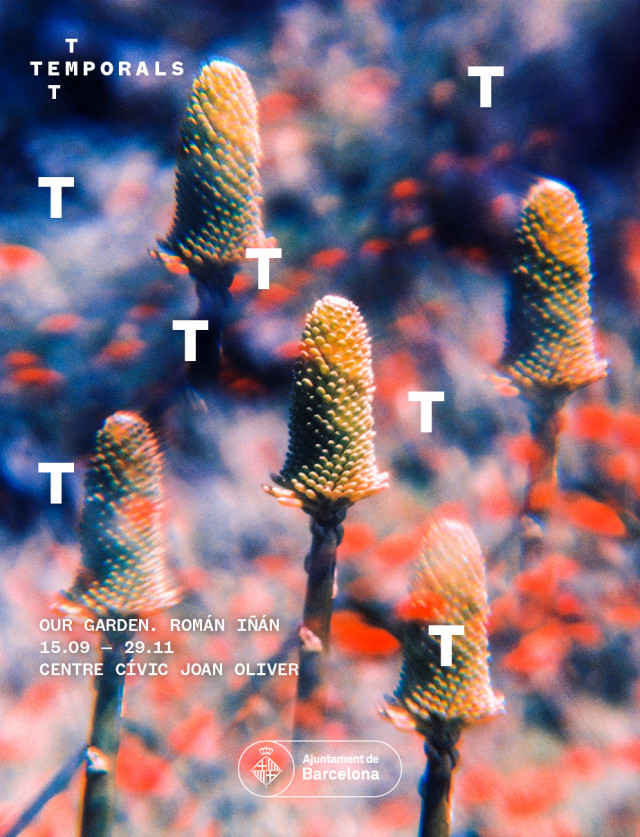 Temporals - Run Design