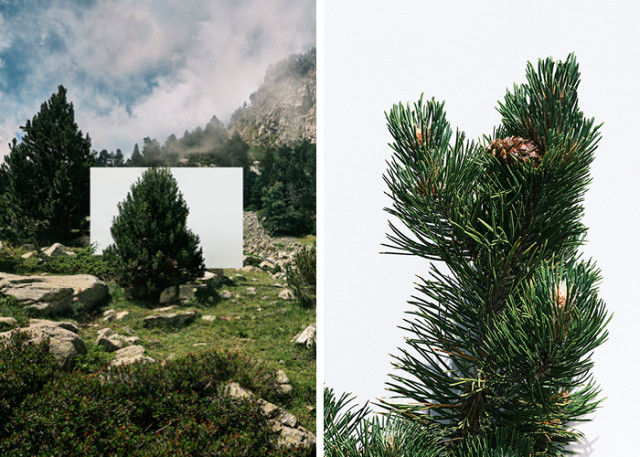 Esperit Roca - Run Design