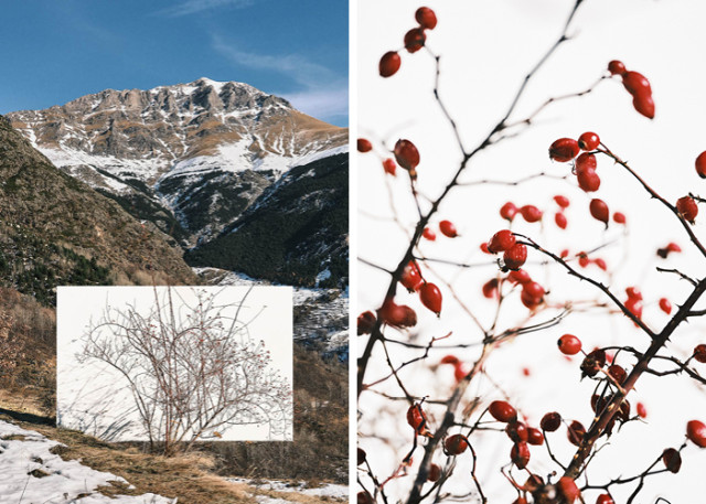 Esperit Roca - Run Design